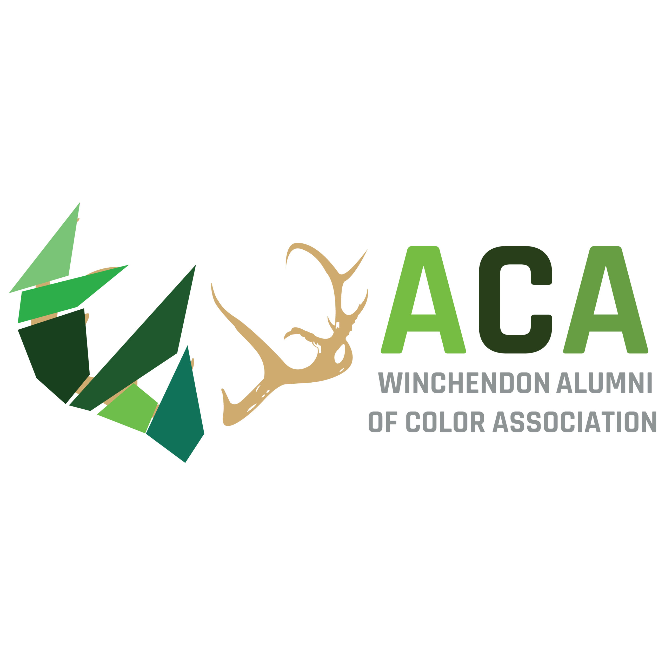 WACA Publishes Weekly Newsletter for Black History Month - The ...